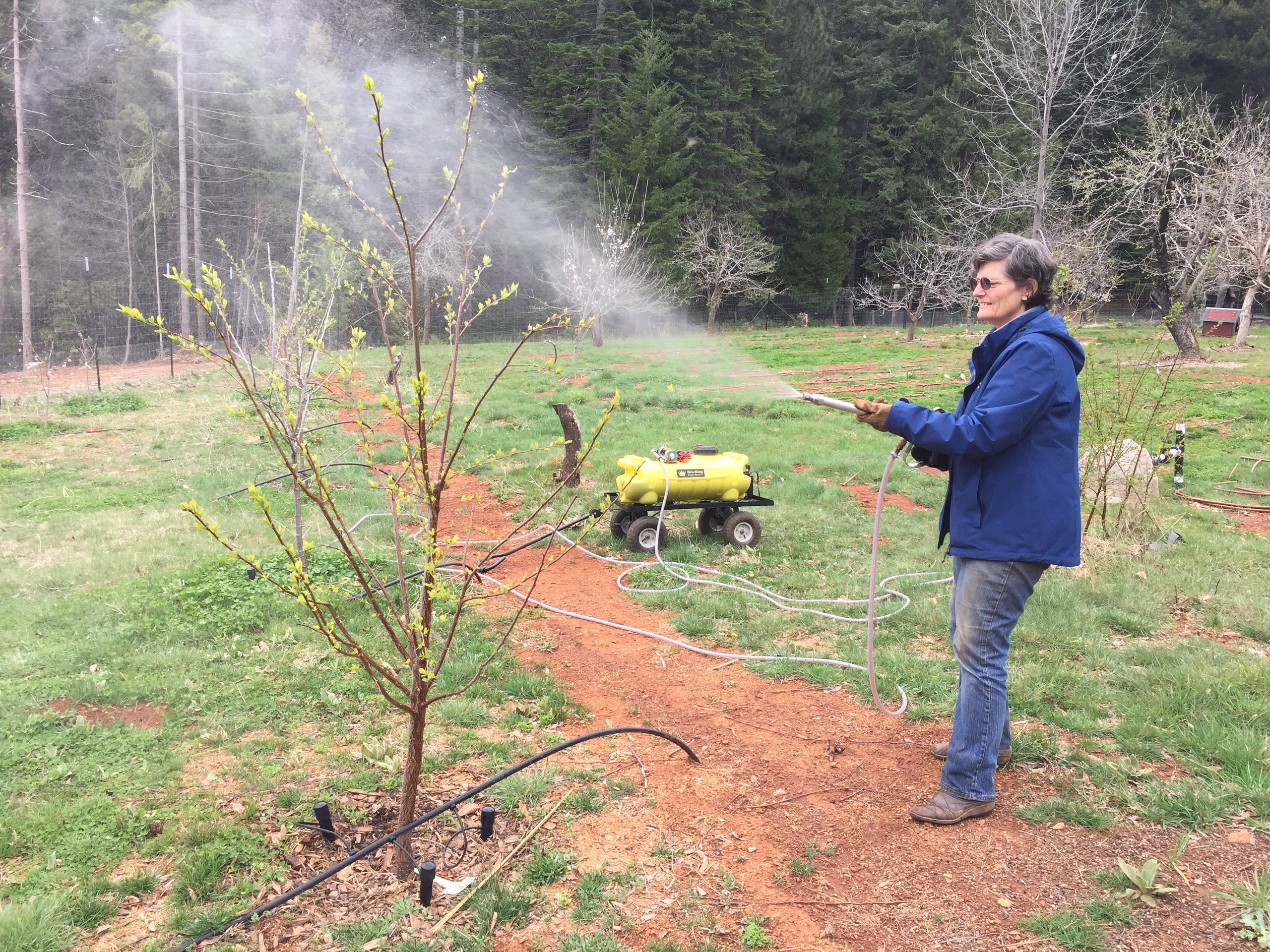 Compost Tea Sprayer | Regenerative Living